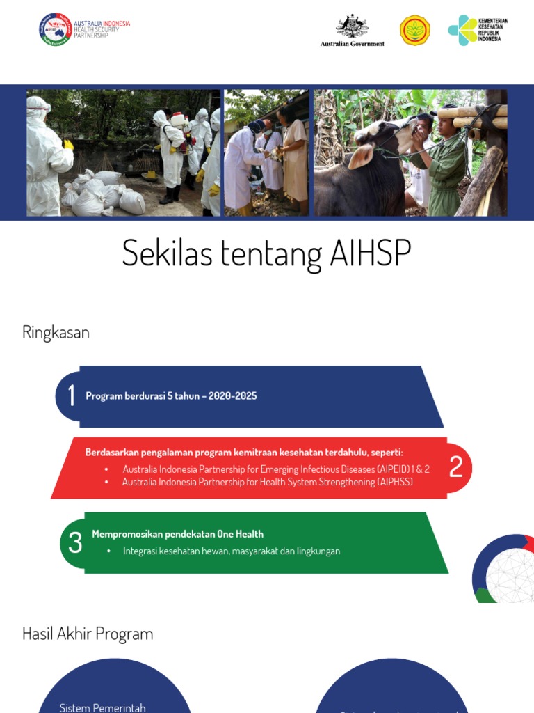 Program AIHSP: Ketahanan Kesehatan Nasional | PDF