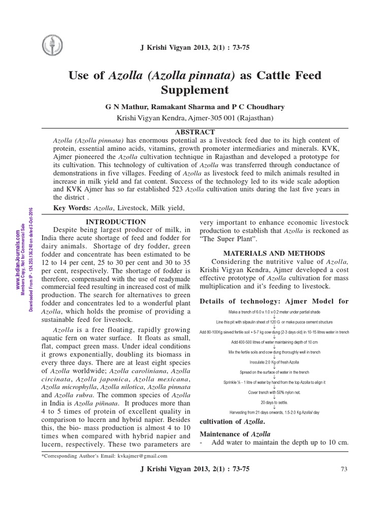 Use of Azolla As Cattle Feed | PDF | Agriculture | Milk