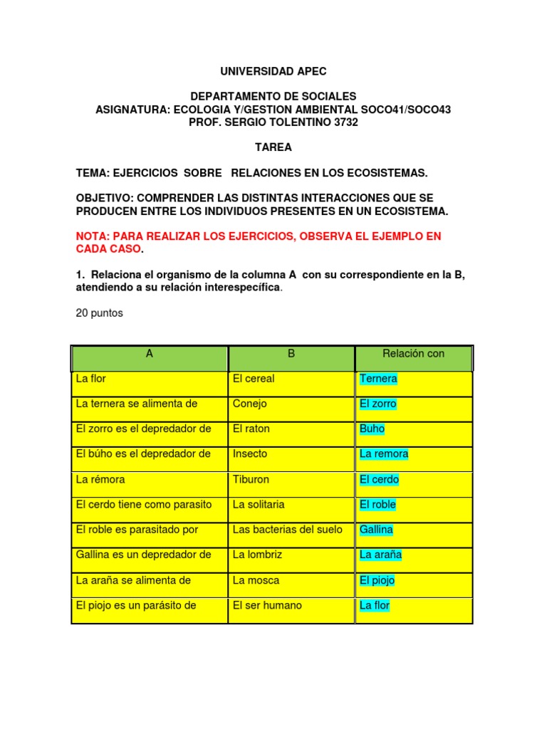 Flujo de Energía Ecosistemas y Pirámides Tróficas | PDF | Depredación ...