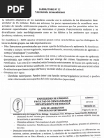 Anatomía del Hámster: Estudio Detallado | PDF | Mamíferos | Reptil