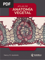 Atlas Anatomia Vegetal | PDF | Tallo de la planta | Biología Celular)
