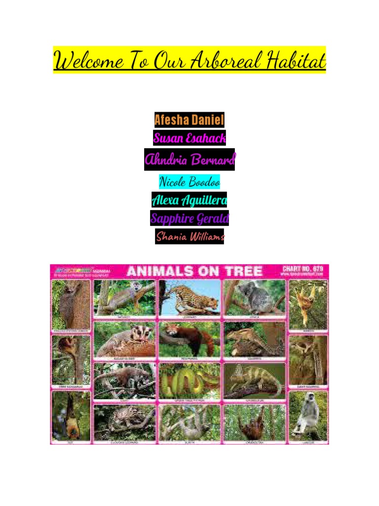 Arboreal Habitats - Afesha Daniel (4 East) | PDF | Trees | Habitat