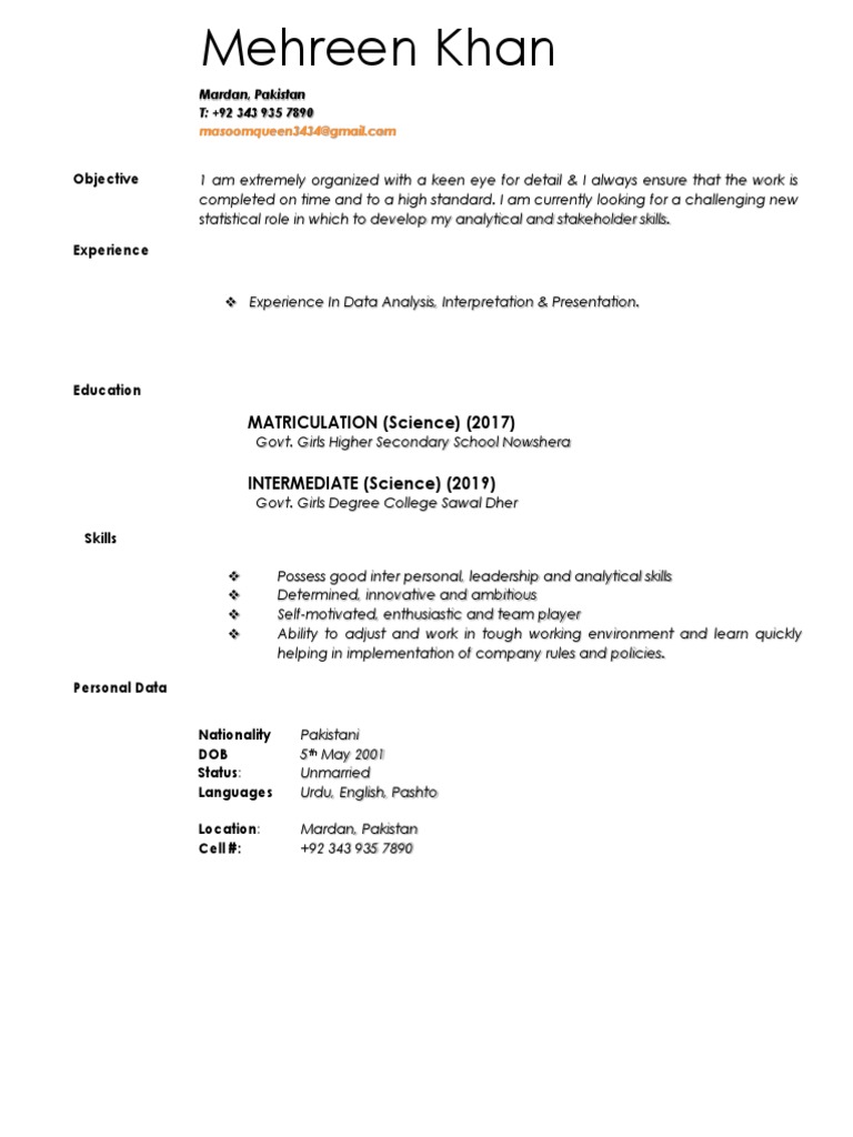Mehreen CV | PDF