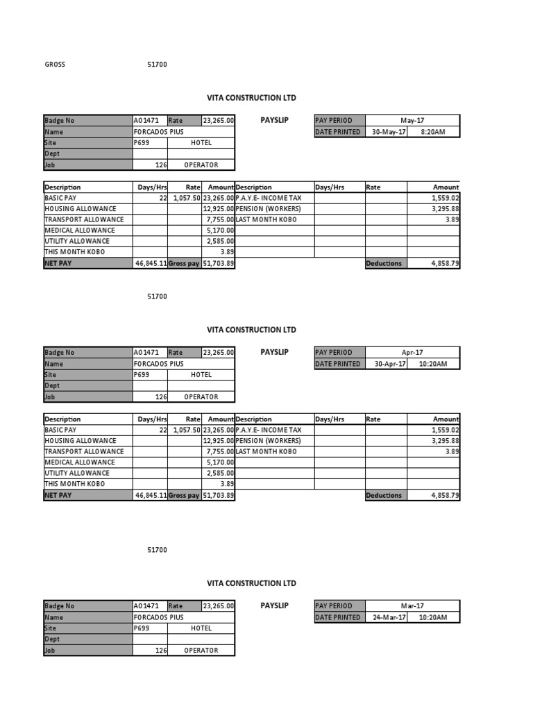 Vita Construction LTD Payslip: Description Days/Hrs Rate Amount ...