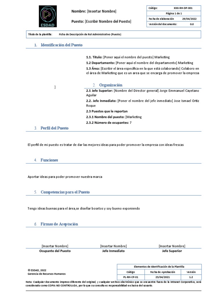 DescripcionPuesto RolTecnico Plantilla2021 DP | PDF | Marketing | Business