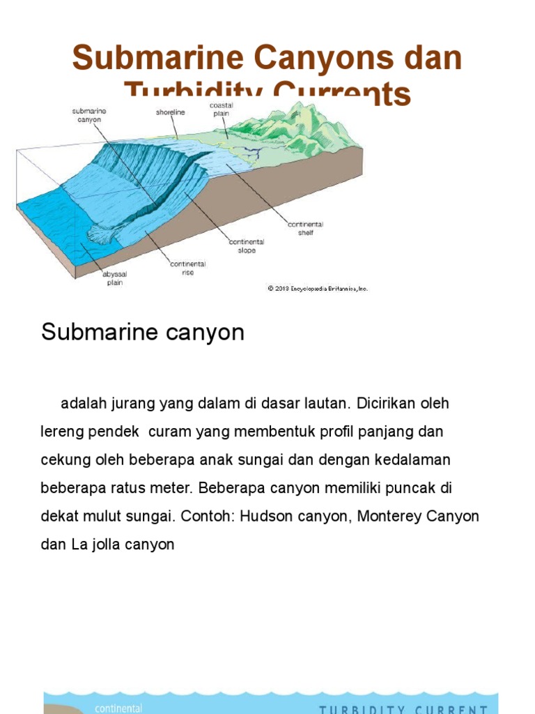 Submarine Canyons Dan Turbidity Currents Oseano | PDF | Ilmu Sosial ...