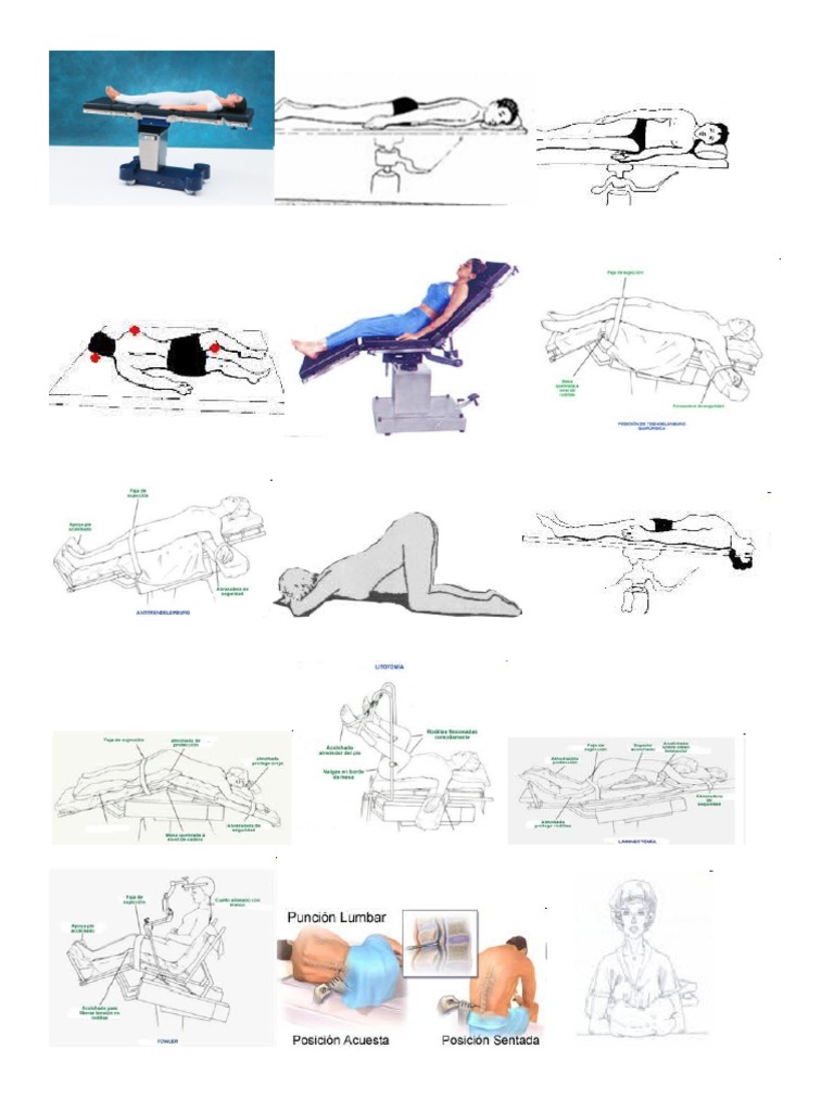 Imagenes de Posiciones Anatomicas | PDF