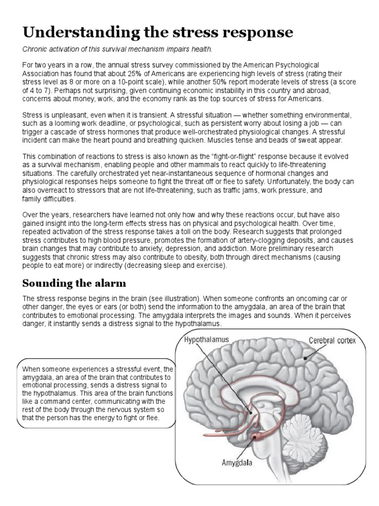 Understanding The Stress Response | PDF | Stress (Biology ...