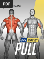 Full Body Workout B PDF | PDF | Limbs (Anatomy) | Human Anatomy