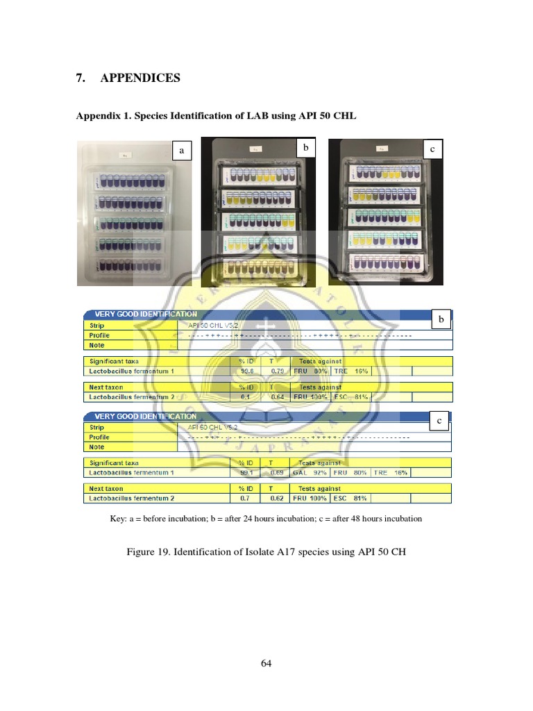 Appendices: Appendix 1. Species Identification of LAB Using API 50 CHL ...