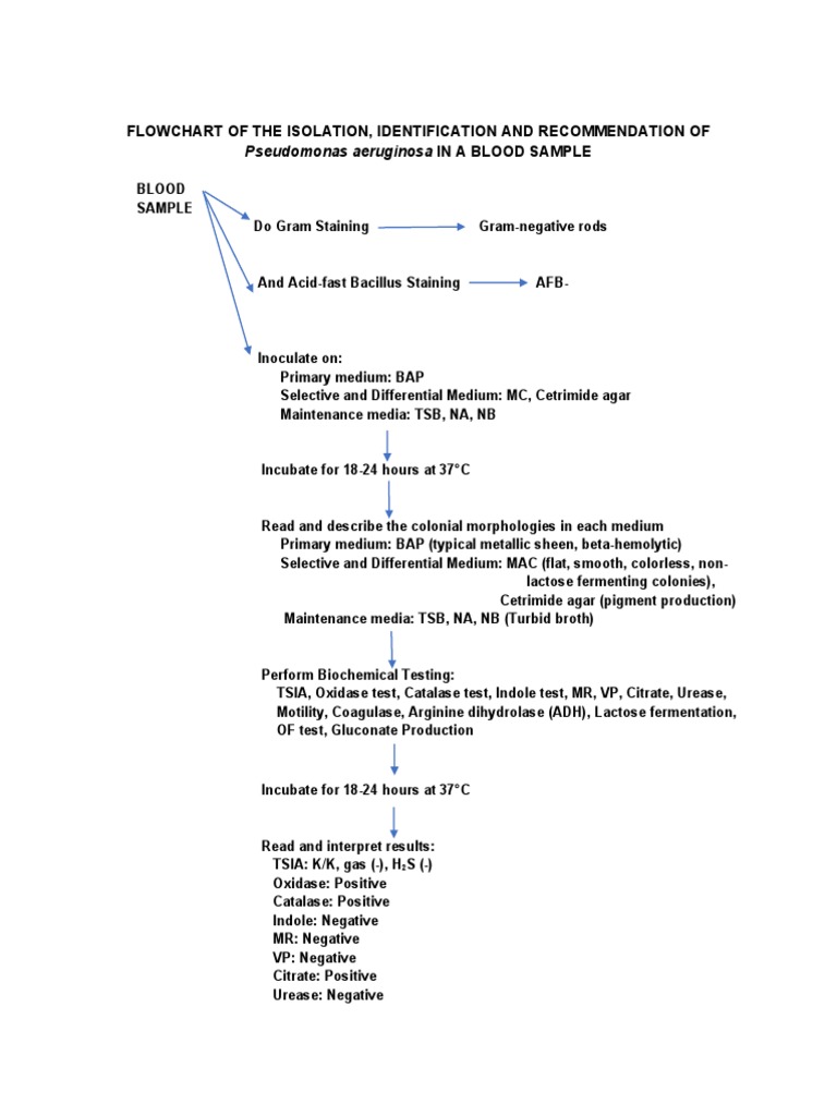 Flowchart of The Isolation | PDF | Pseudomonas Aeruginosa | Bacteria