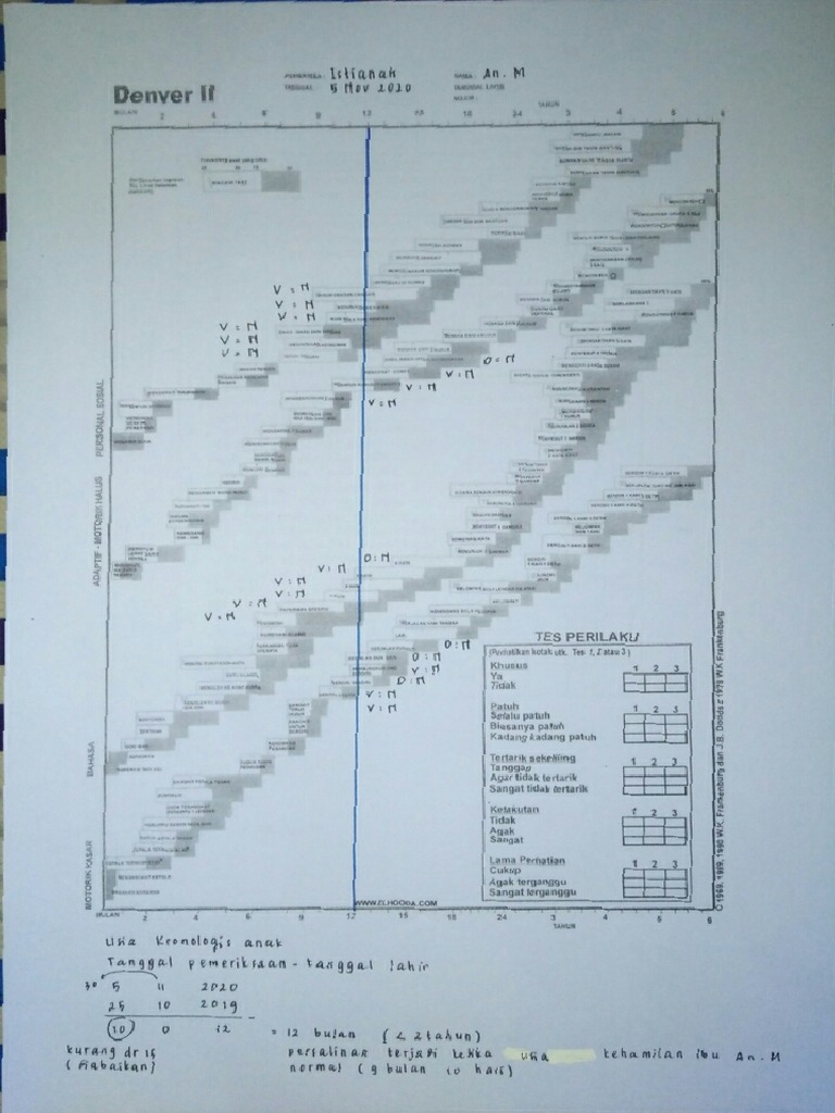 Denver II & KPSP | PDF
