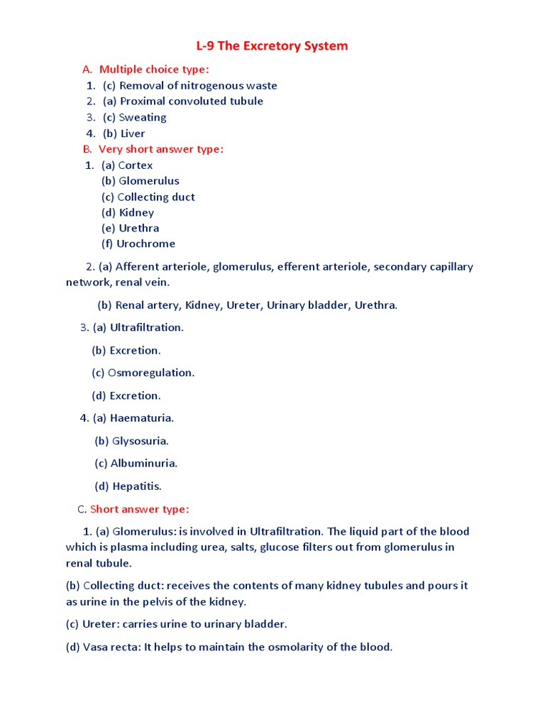 L-9 The Excretory System: A. Multiple Choice Type | PDF | Kidney ...