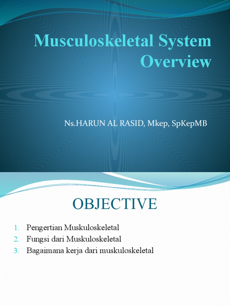 Overview System Musculoskeletal | PDF
