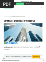 What Is Strategic Business Unit (SBU) - Definition, Characteristics and ...