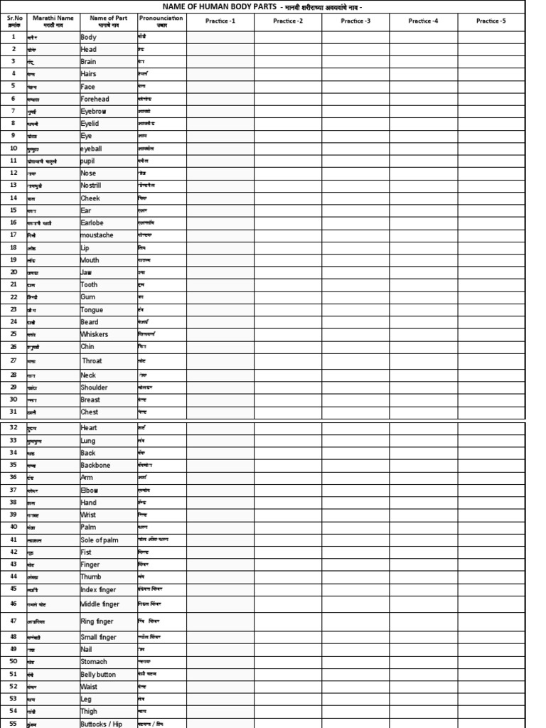 Name of Human Body Parts | PDF