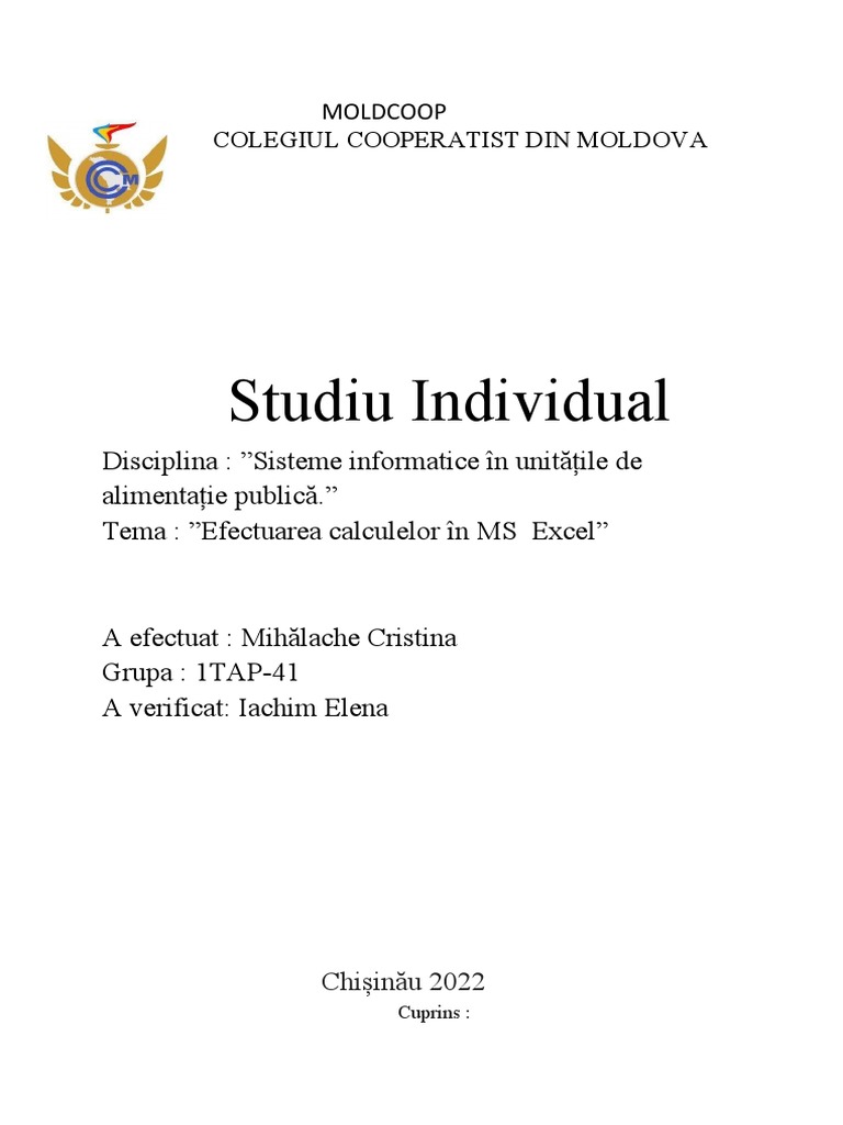 Studiu Individual - Informatica | PDF