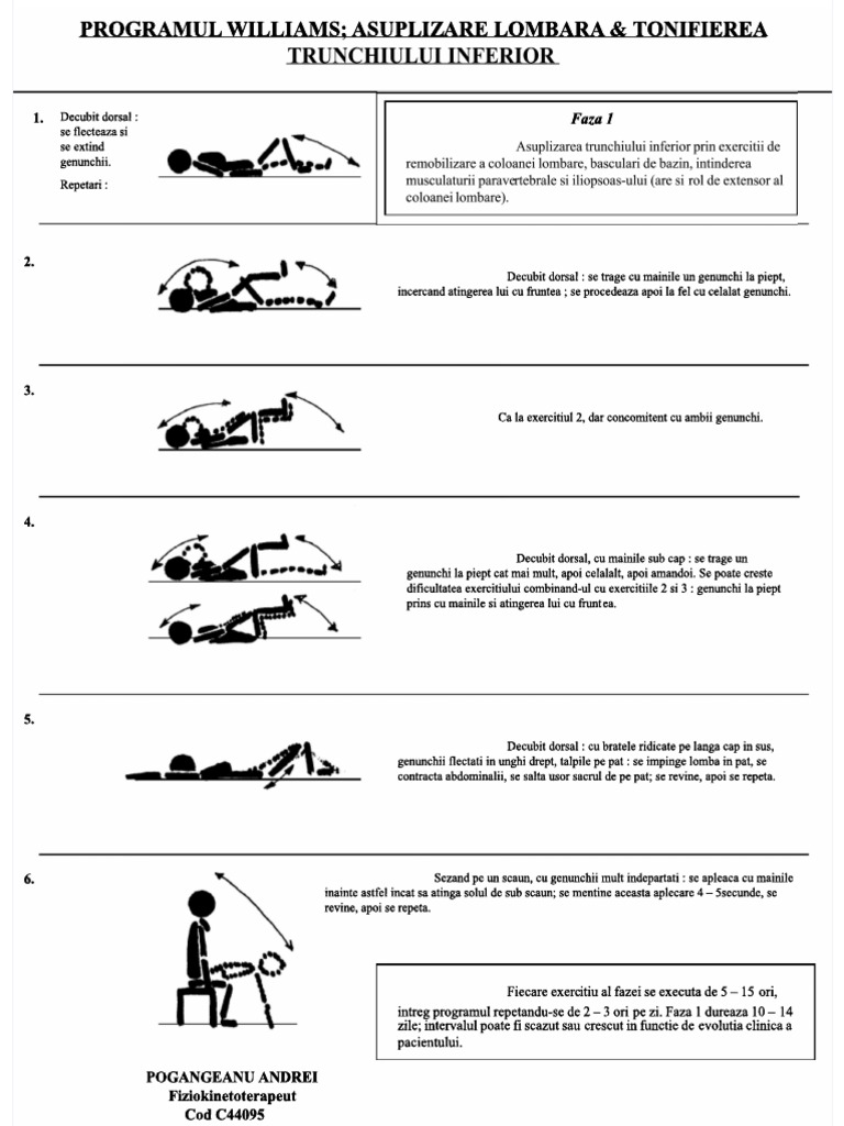 Williams Faza 1 | PDF