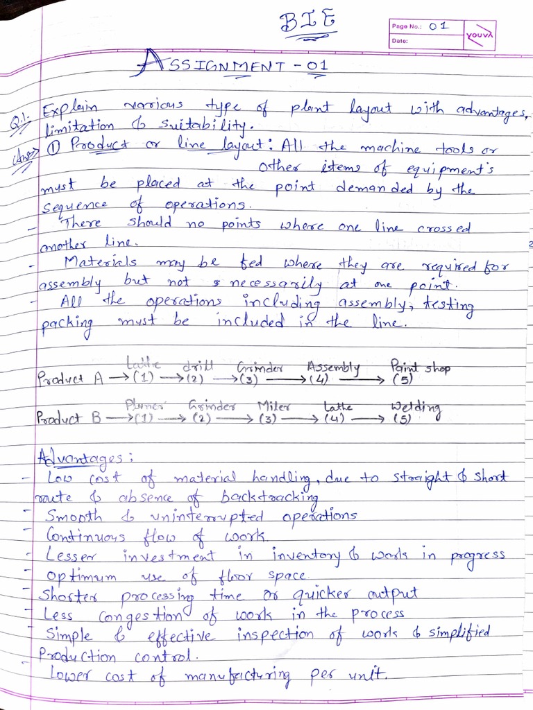 BIE (Assignment 1) | PDF | Computers | Technology & Engineering