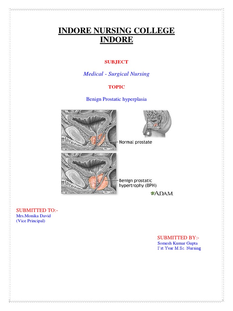 BPH - Plan | PDF | Health Sciences | Medicine