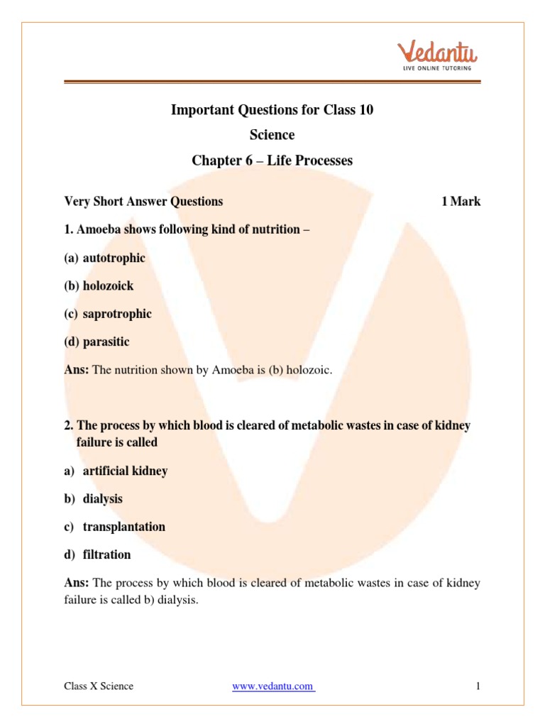 CBSE Class 10 Science Chapter 6 Important Questions With Solutions ...