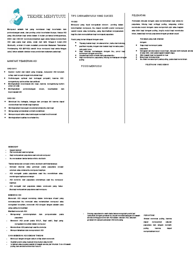 Leaflet Teknik Menyusui | PDF