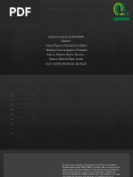 Caso Entorno Macroecon Mico de Las Organizaciones | PDF | México | Empresas