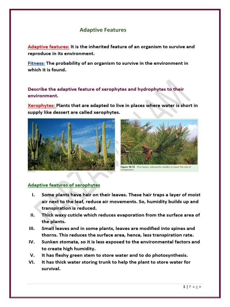 Adaptive Features | PDF | Leaf | Plants