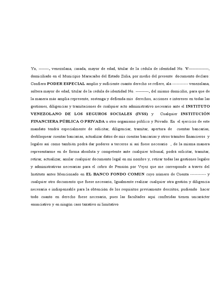 Modelo Poder Especial | PDF