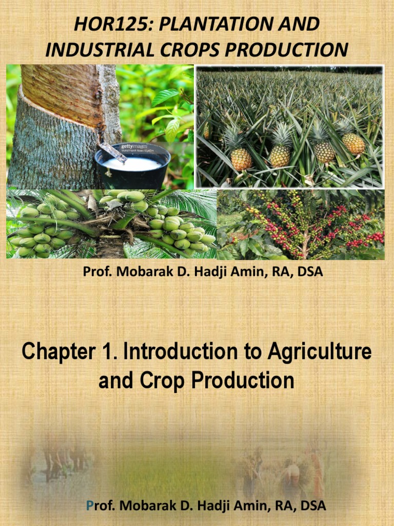 Chapter 1. Intro To Agriculture | PDF | Gross Domestic Product ...