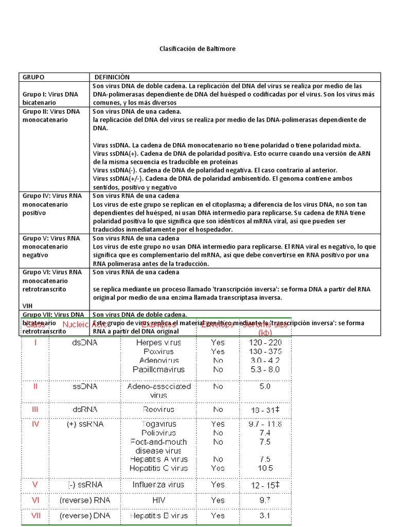 Clasificación de Virus según Baltimore | PDF | Ciencia y matemáticas