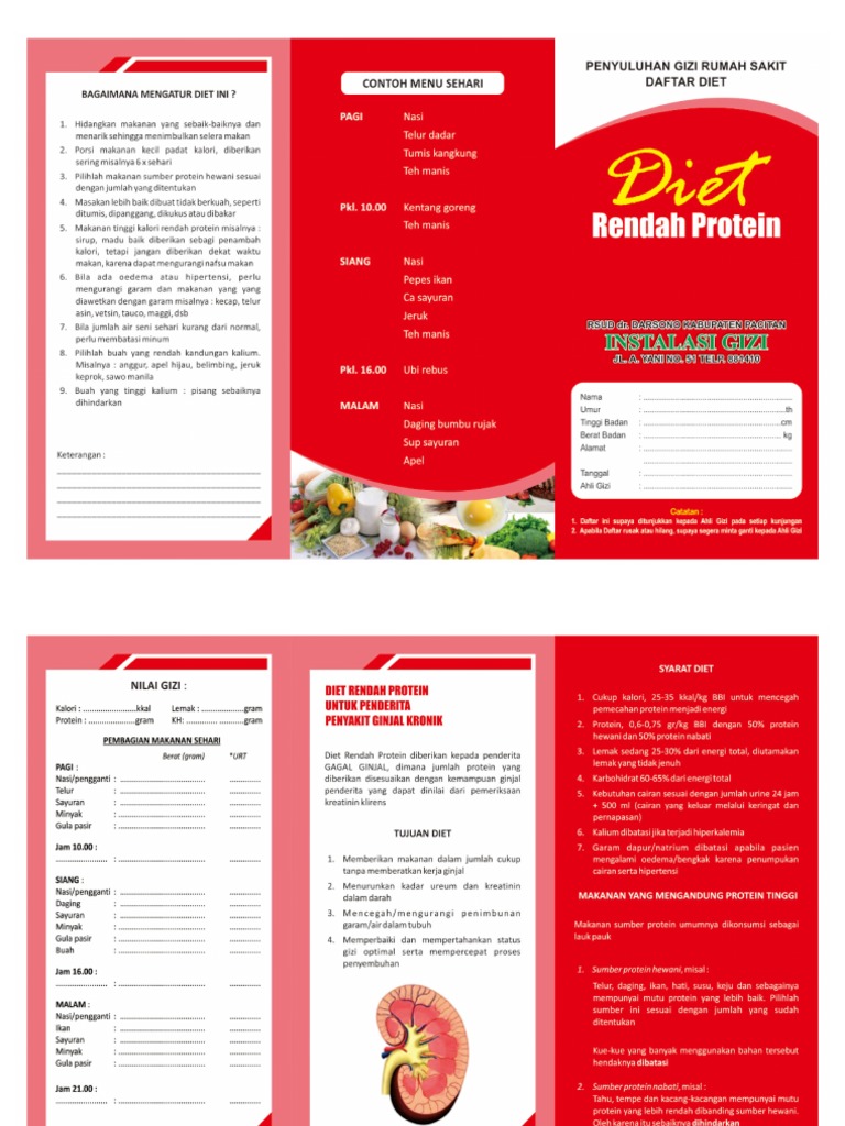 Diet Rendah Protein | PDF