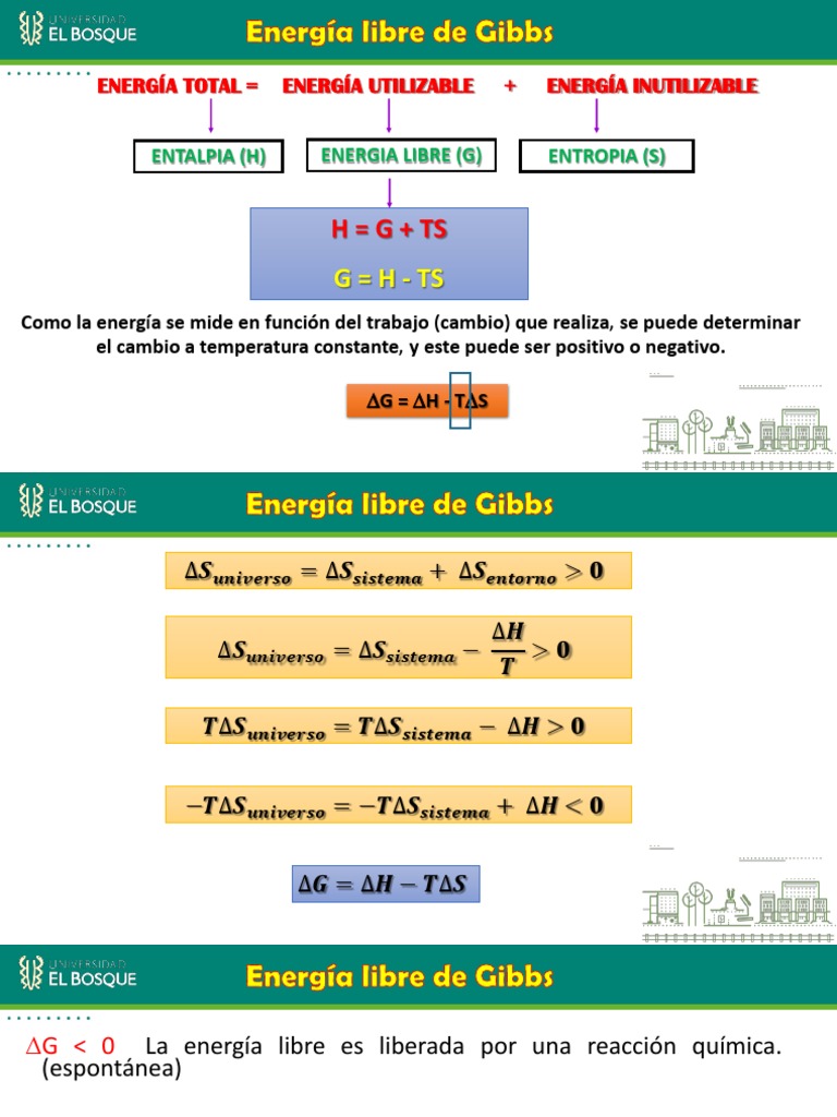 Energía Libre de Gibbs - Termodinámica 2020-1 | PDF | Energía libre de Gibbs | Equilibrio químico