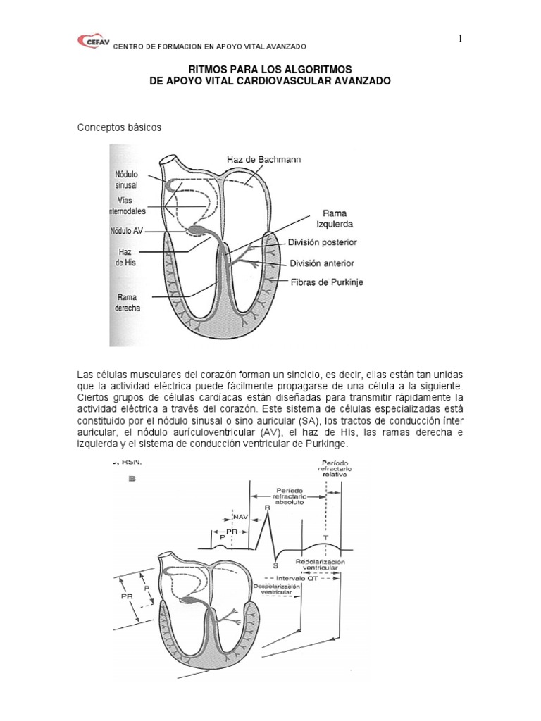 ACLS - Ritmos | Electrocardiografia | Arritmia cardiaca