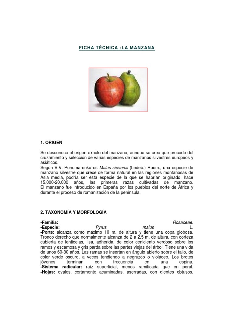 Hoja De Trabajo Sobre El Ciclo De Vida De Un Manzano