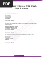 Class 10 Life Processes Diagram Questions | PDF | Stoma | Biology