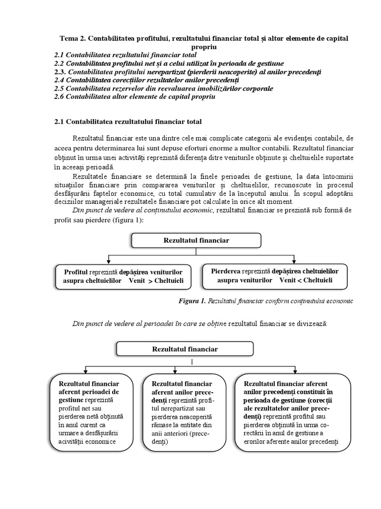 Contabilitate | PDF