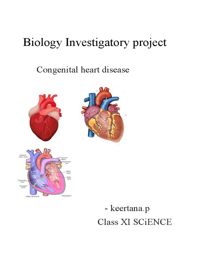 Biology Investigatory Project: Congenital Heart Disease | PDF ...