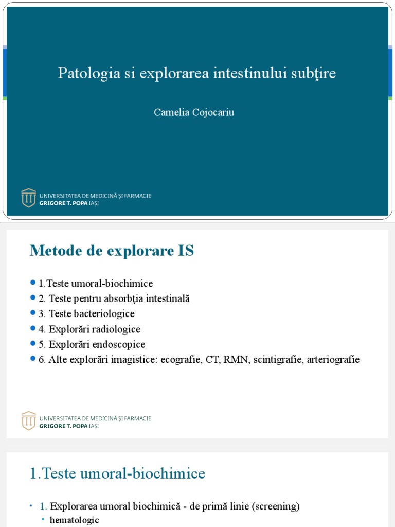 Intestin Subtire | PDF