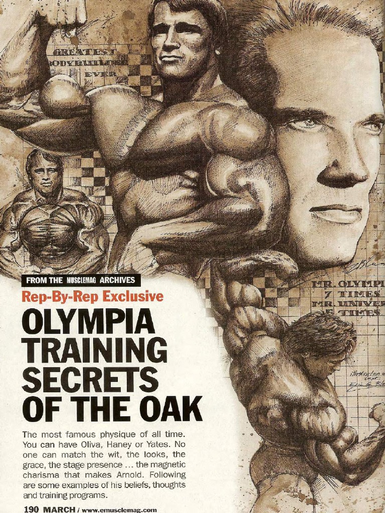 Arnold Training Guide | PDF