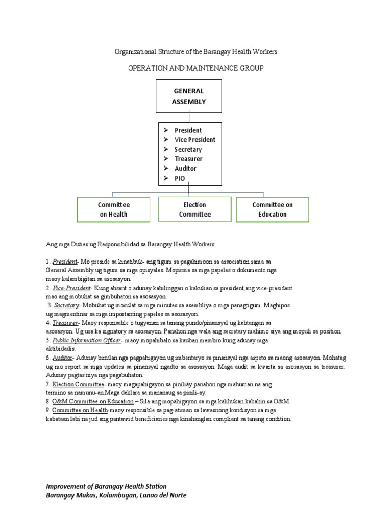Organizational Structure of The Barangay Health Workers | PDF