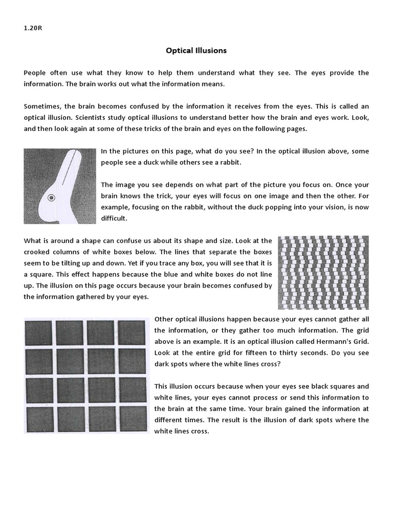 Optical Illusions | PDF | Eye | Illusion