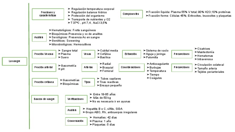 Esquema U.T 6 | PDF | Sangre | Hematología