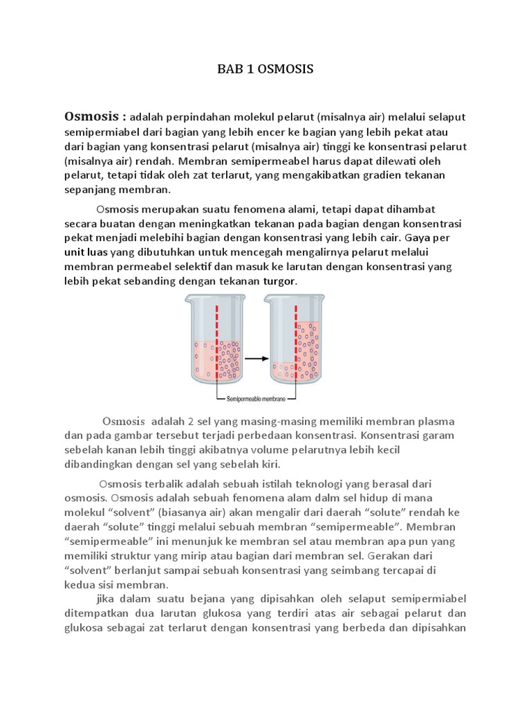 Bab 1 Osmosis | PDF