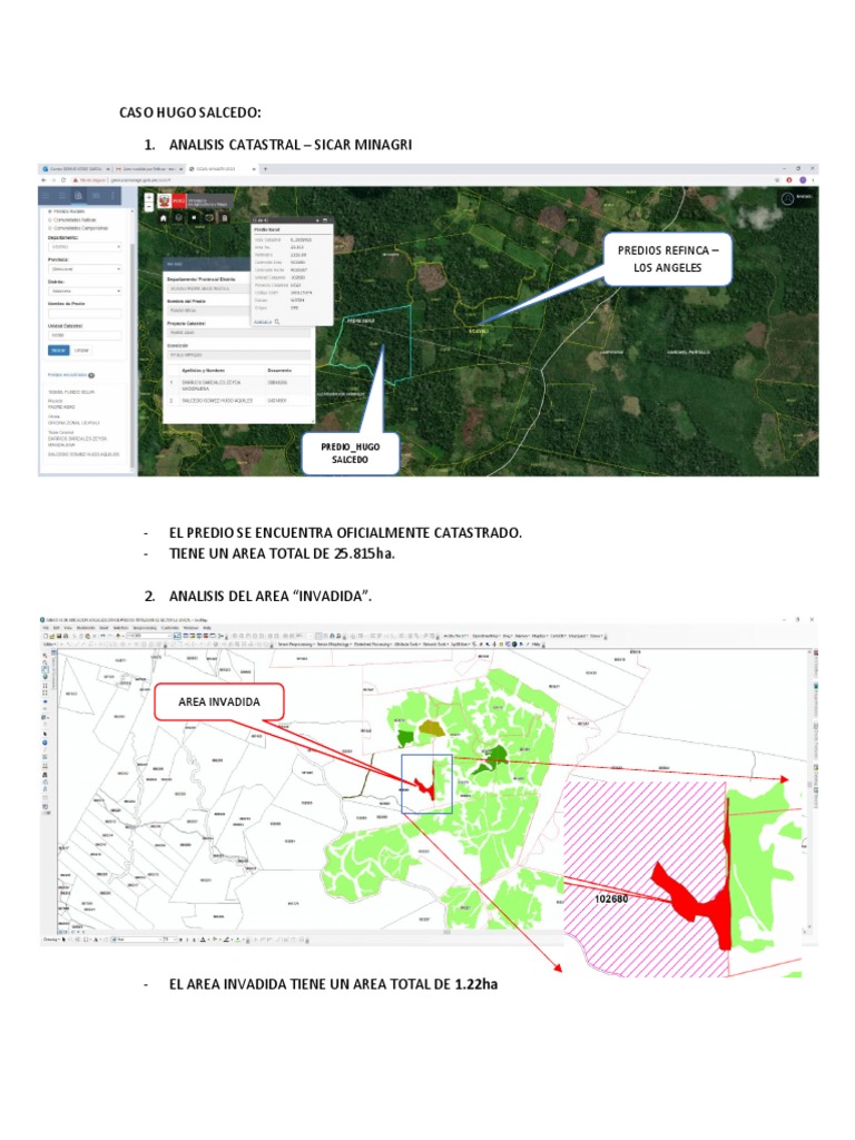 Caso Hugo Salcedo | PDF