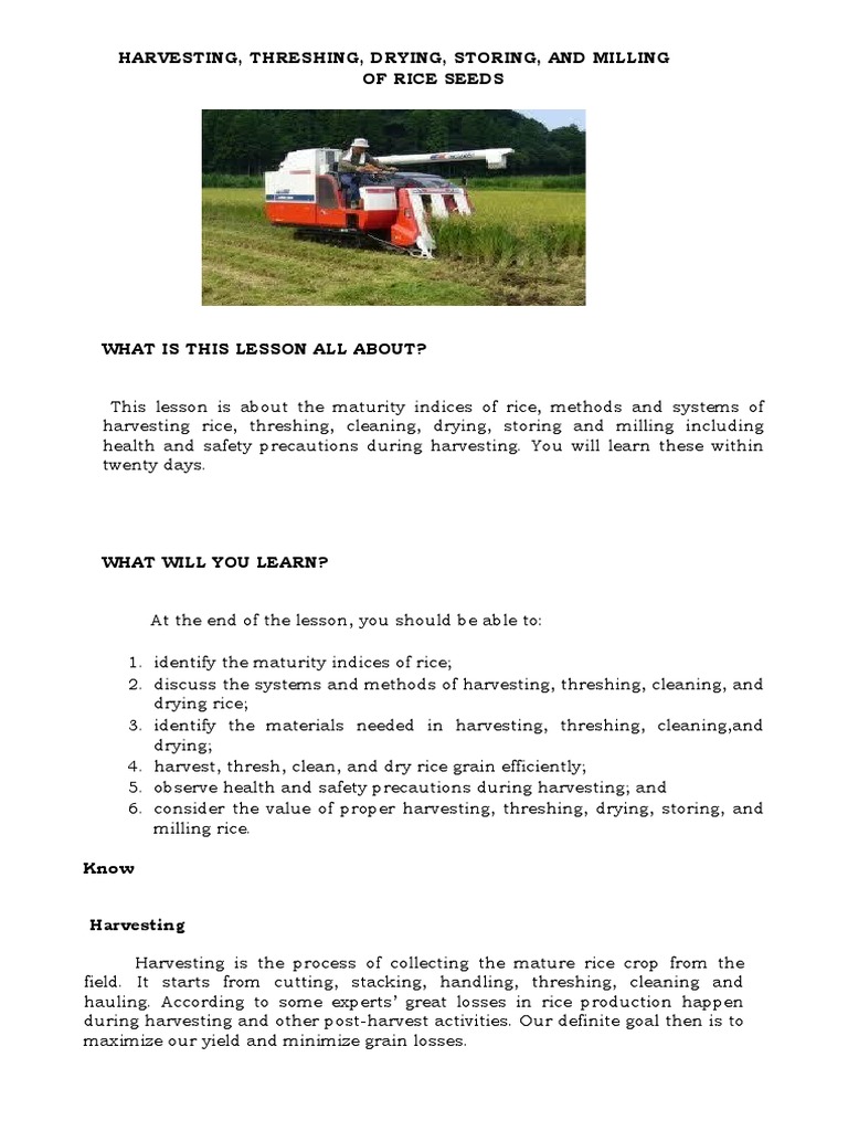Harvesting, Threshing, Drying, Storing, and Milling | PDF | Rice | Cereals