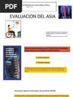 Escala Asia | PDF | Neurología | Médula espinal