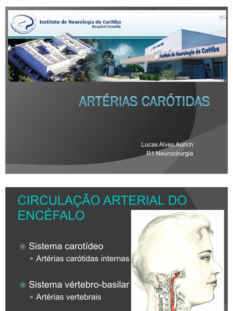 Anatomia Das Artérias Carótida Comum, Carótida Externa | PDF