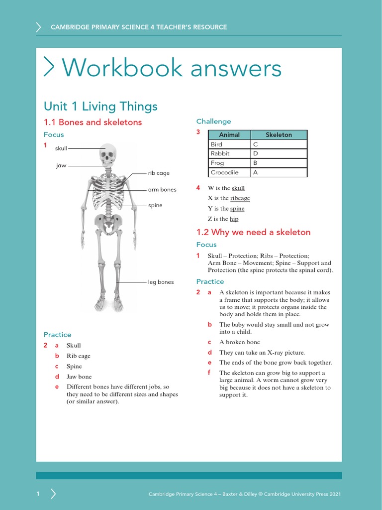 Workbook Answers: Unit 1 Living Things | PDF | Planets | Solar System