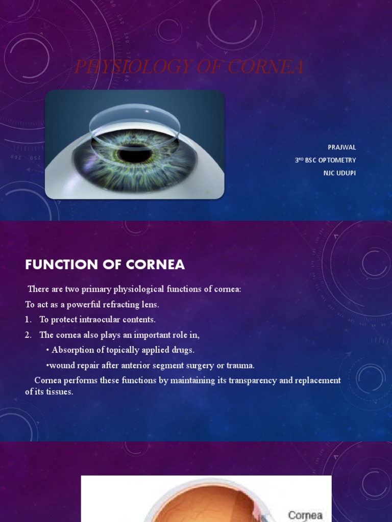 Physiology of Cornea: Prajwal 3 BSC Optometry NJC Udupi | PDF | Cornea ...